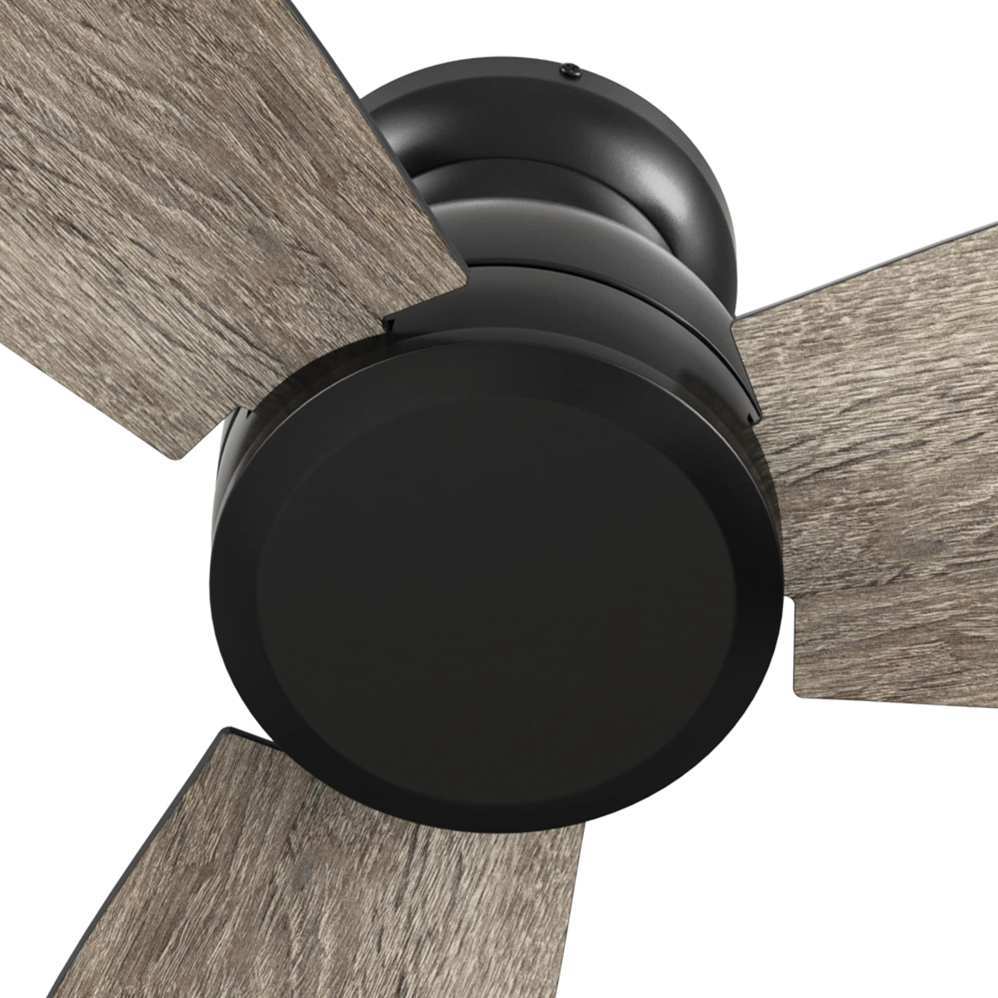 CARRO Quest 60-inch Indoor Ceiling Fan with Remote and Reversible DC ...