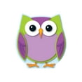 CARSON-DELLOSA Colorful Owl Cut-Outs 120133 - Walmart.com