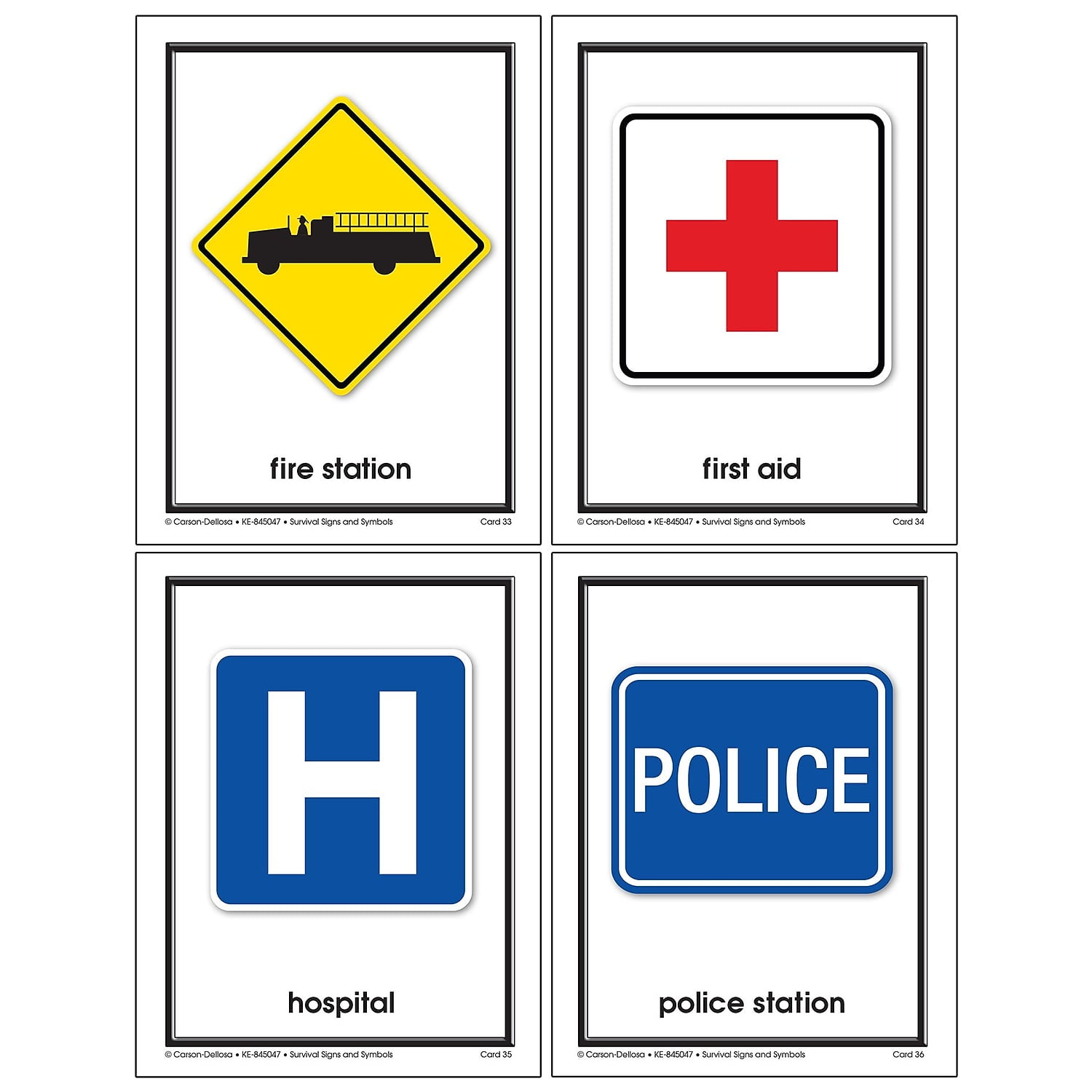 Carson-Dellosa Grades PreK-2 Survival Signs & Symbols Learning Cards ...
