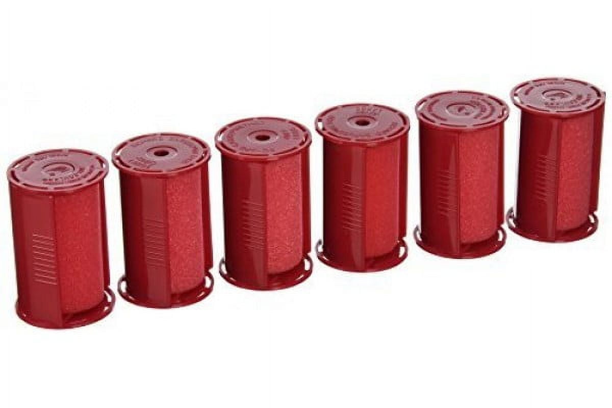 Caruso Large Hair 6 Piece Jumbo Rollers, Easy to Use, Salon Quality ...