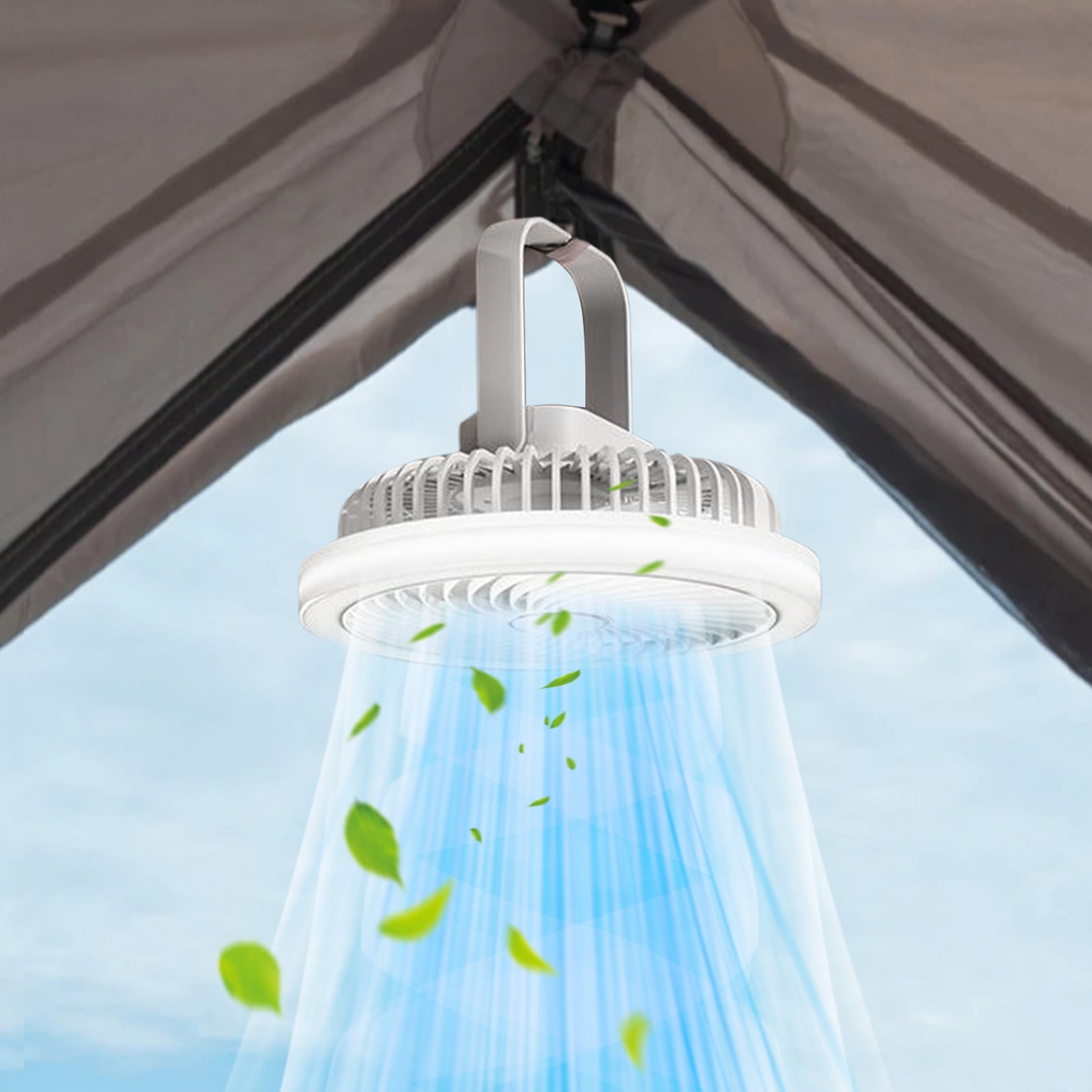CASAFUN Ceiling Fan With LED Lights Enclosed Low Fan Light with Novel ...