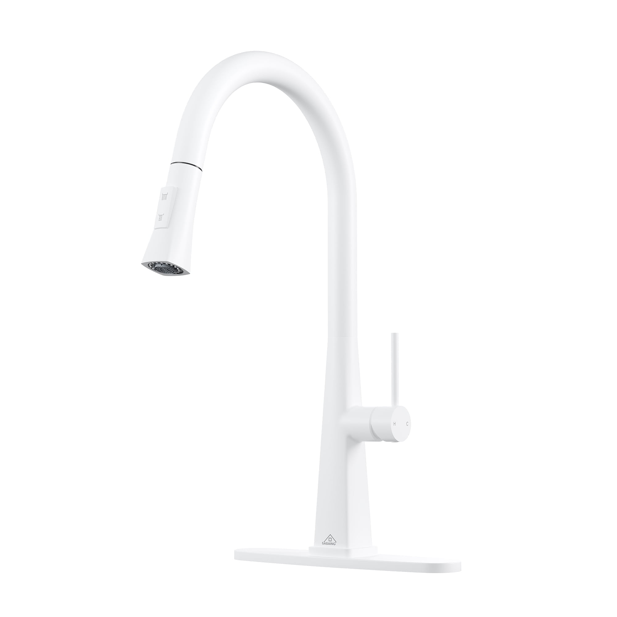 CASAINC Single Handle Kitchen Faucet with Pull Out Sprayer, Deck ...