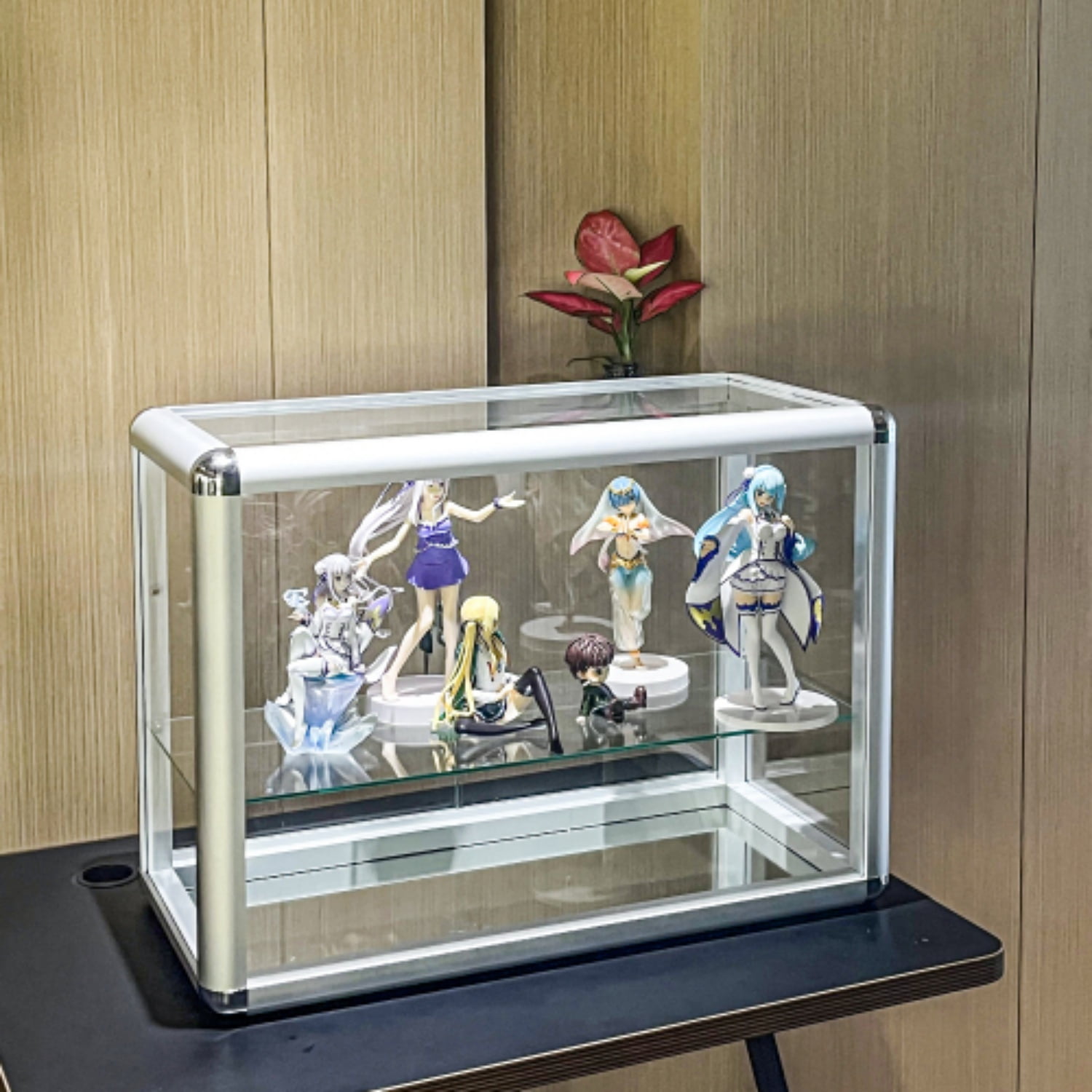 CASEMIOL Tempered Glass Display Case with Lock and Key, Aluminum ...