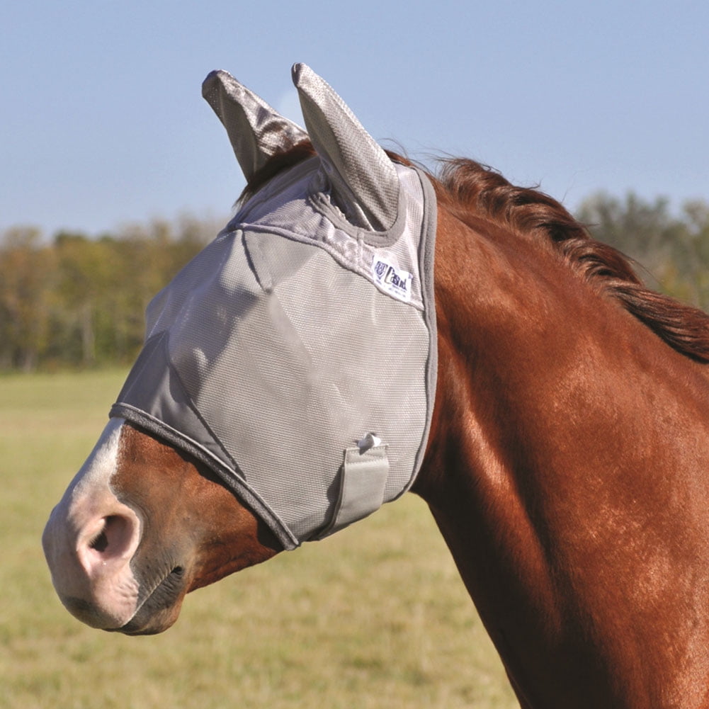 CASHEL Crusader Standard Mule Weanling Fly Mask with Ears (CFMMWSE ...