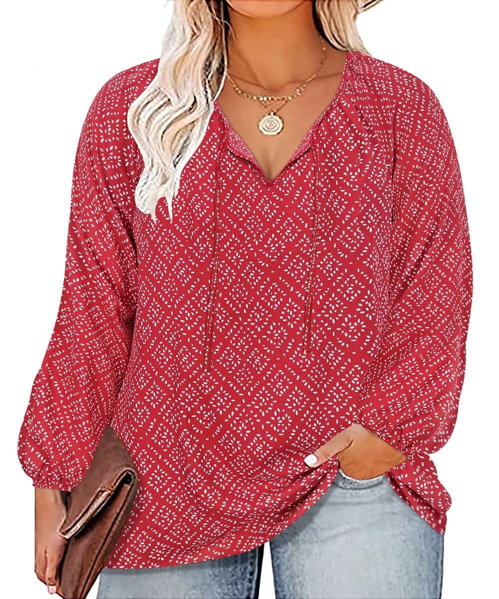 CASSIE LIZ Womens Plus Size Tops 2X Long Sleeve Shirts Fall V Neck Red ...