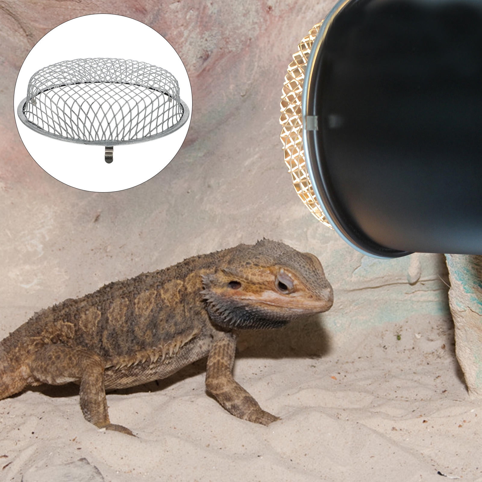 CATIEBYE 1Pcs Reptile Heating Lamp Cover Stainless Steel for Pet Owners ...