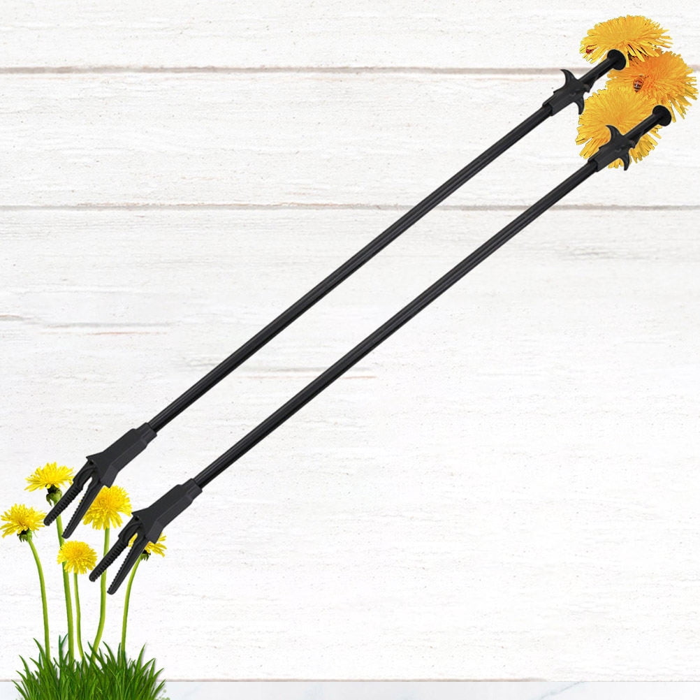 CATIEBYE 2Pcs Long Tweezers for Fish Tank Plants Stainless Steel ...