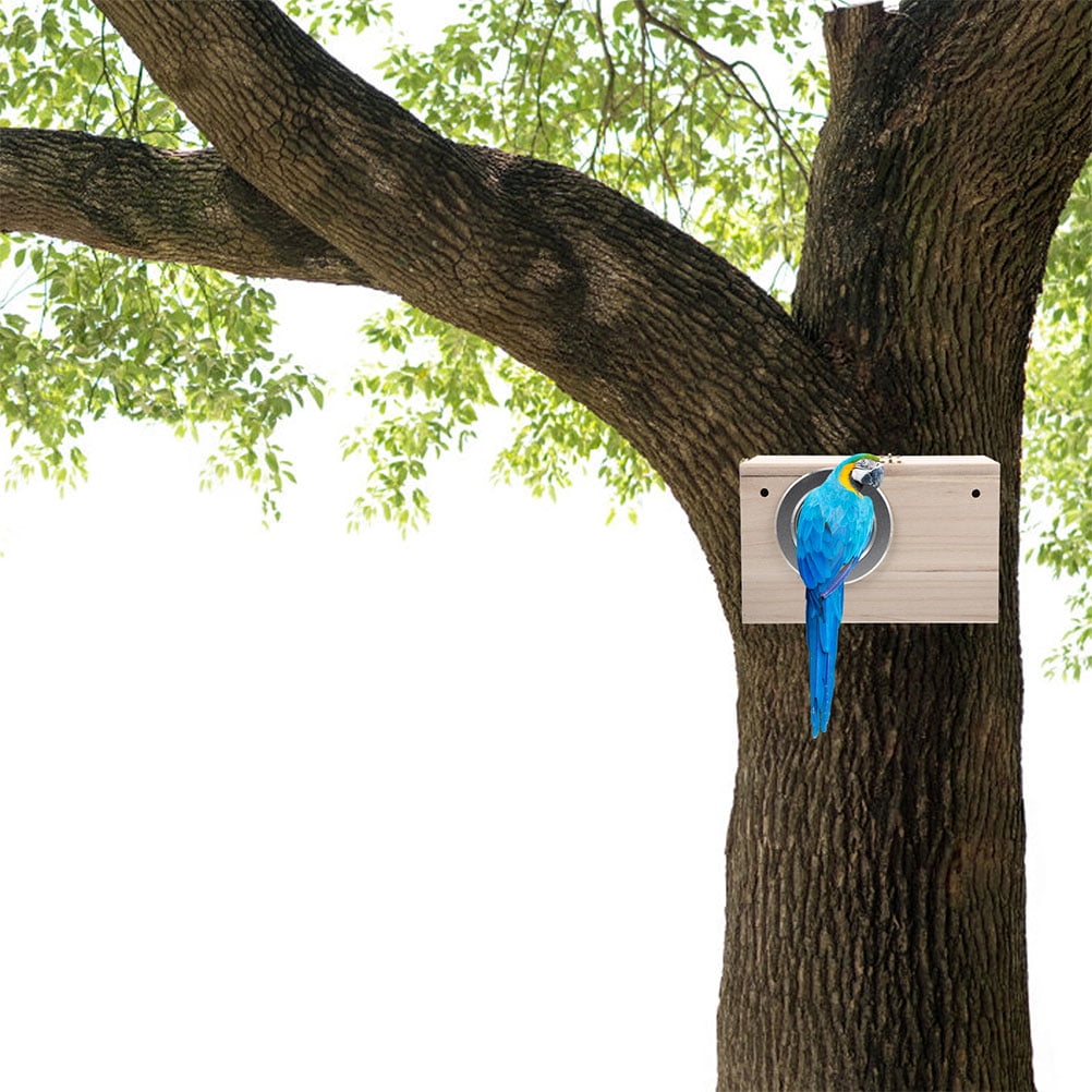 CATIEBYE Nesting Box for Cockatiels 1Pcs Beige Wooden Bird House with ...