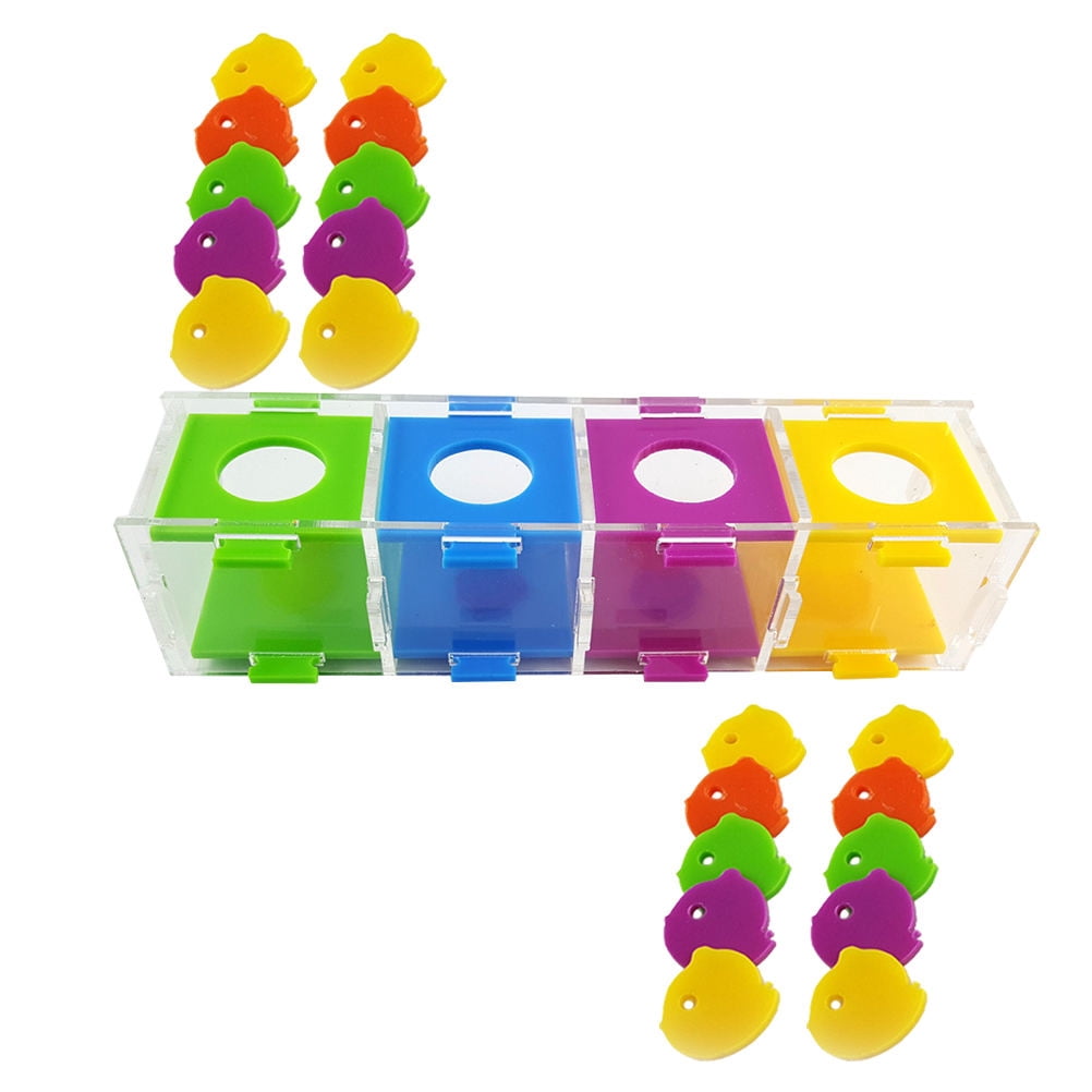 CATIEBYE Parrot Intelligence Toy Assorted Color 1 Set Train Parrot's ...