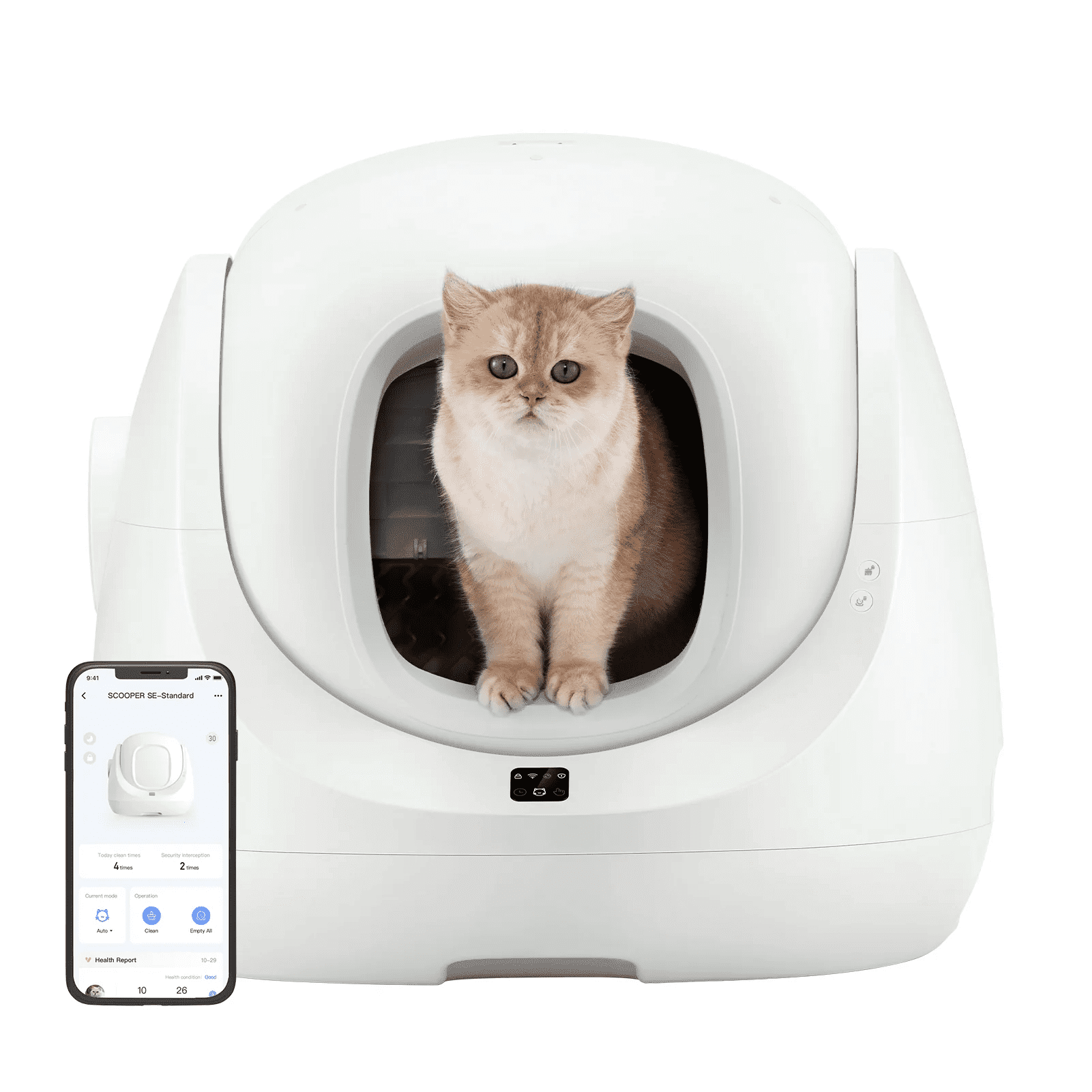 CATLINK Smart Automatic Self-Cleaning Cat Litter Box with APP - Walmart.com