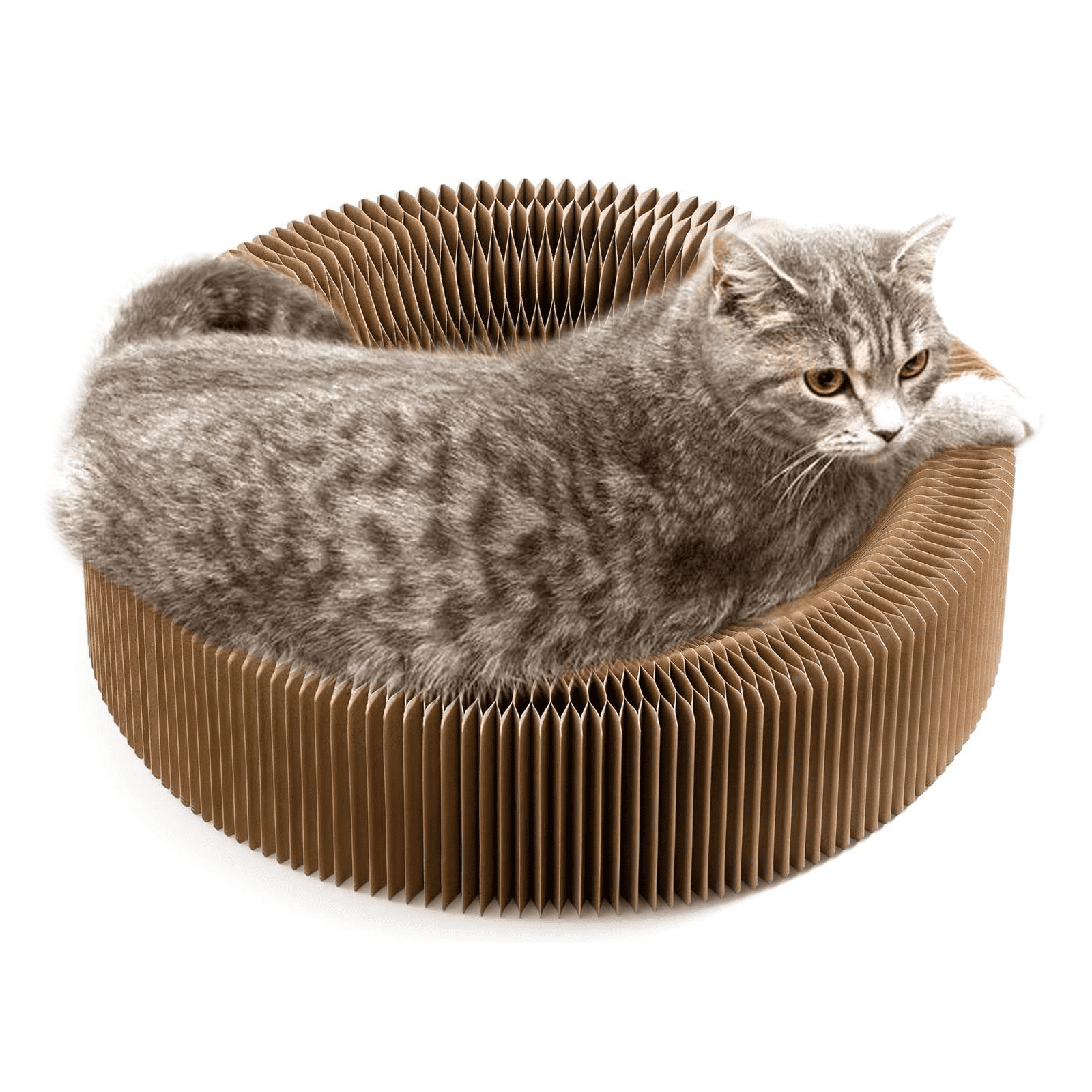 CATLK Magic Organ Cat Scratching Board,Foldable Scratching Board Cat ...