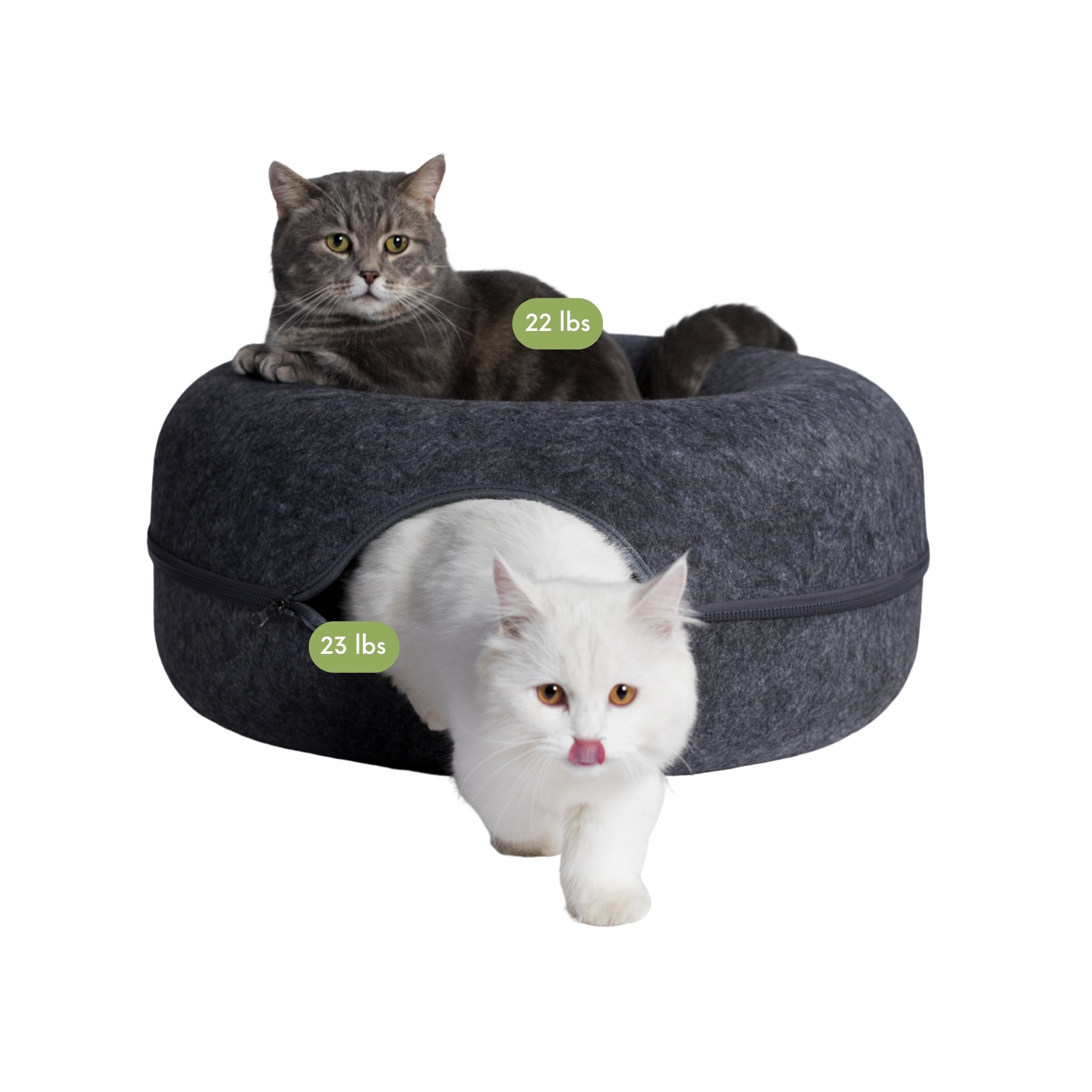 CATTASAURUS Peekaboo Cat Cave for Multiple & Large Cats Up to 30-45 Lbs ...