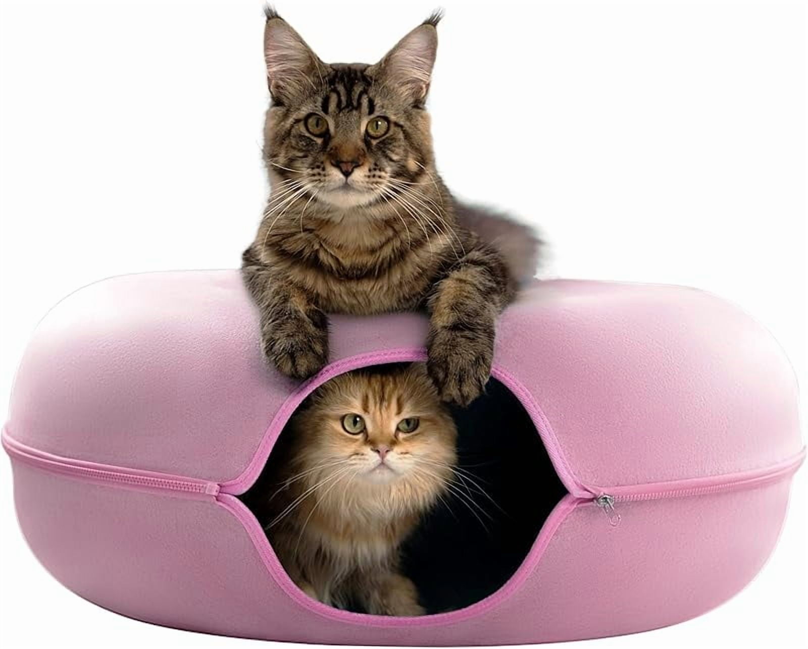 CATTASAURUS Peekaboo Cat Cave for Multiple & Large Cats Up to 30-45 Lbs ...