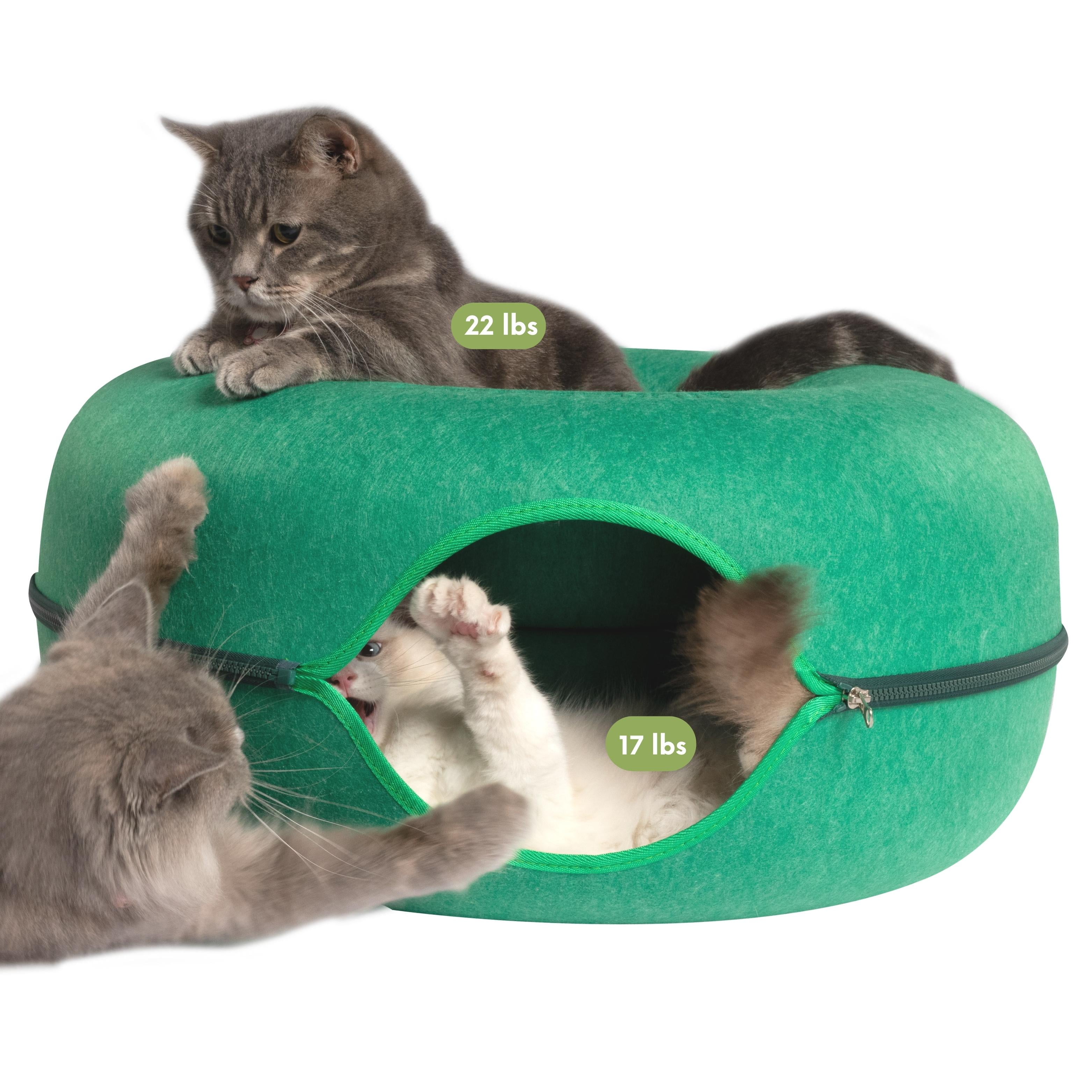 CATTASAURUS Peekaboo Cat Cave for Multiple & Large Cats Up to 30-45 Lbs ...