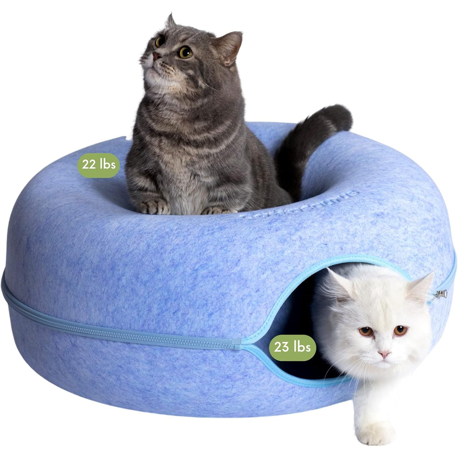 CATTASAURUS Peekaboo Cat Cave for Multiple & Large Cats Up to 30-45 Lbs ...