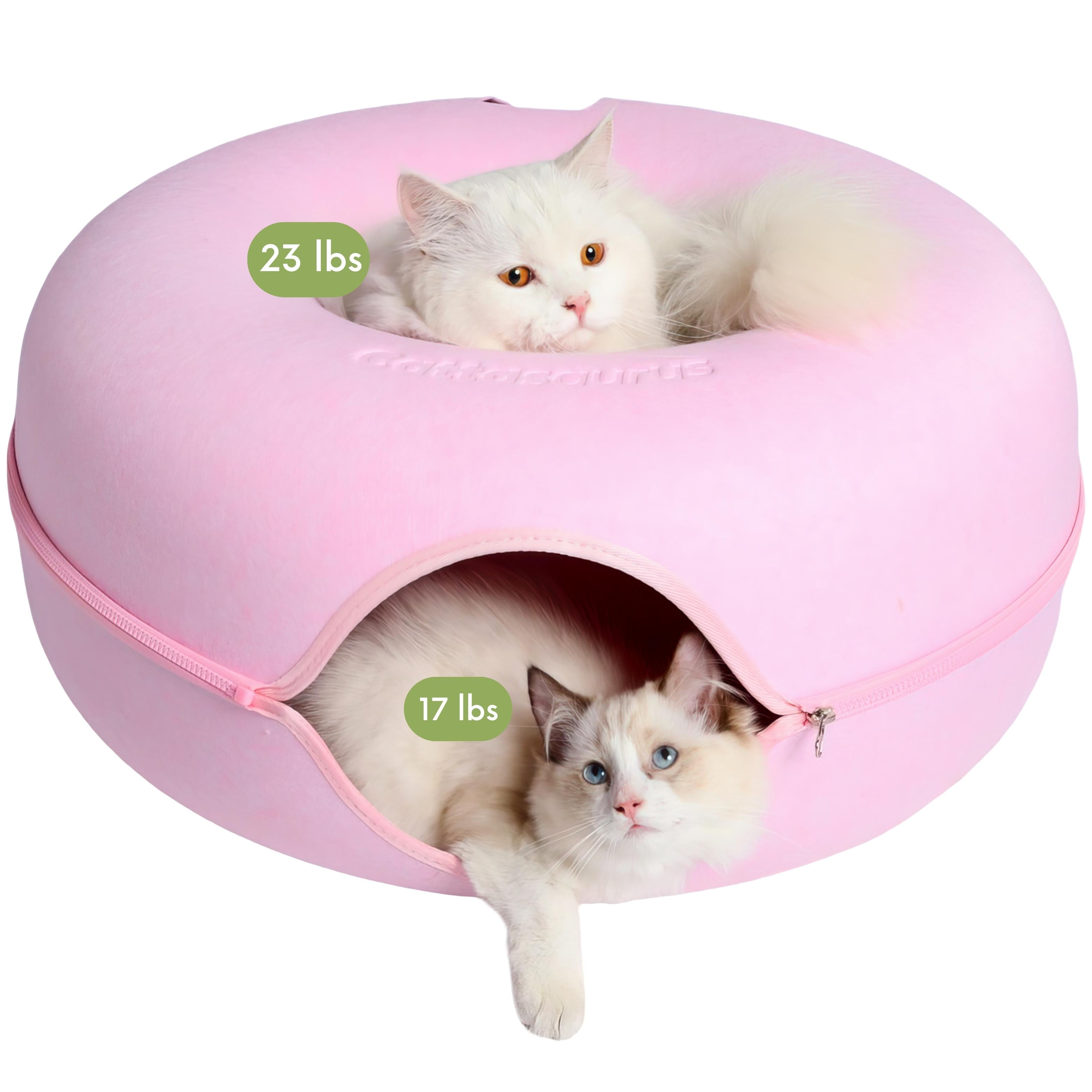 CATTASAURUS Peekaboo Cat Cave for Multiple & Large Cats Up to 30-45 Lbs ...