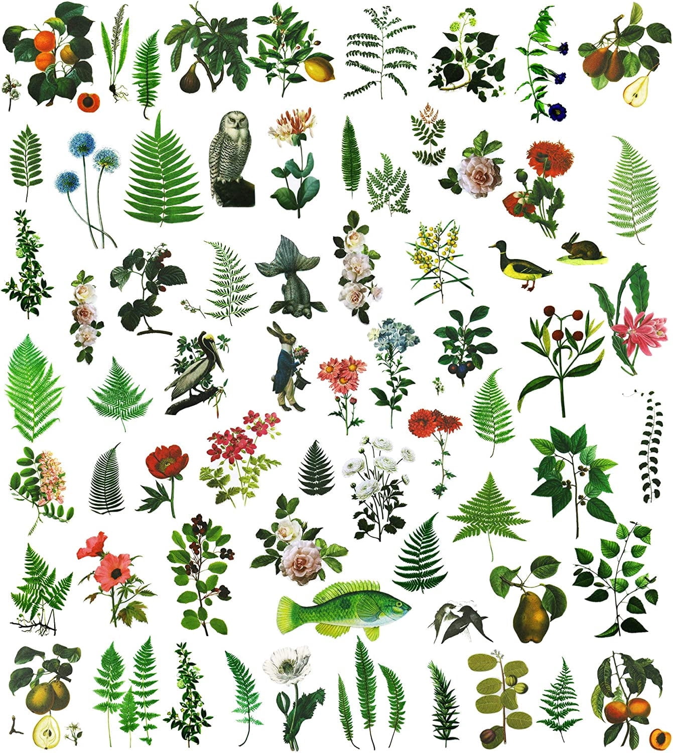 CATaireen Vintage Vellum Stickers Floral Plants Elements Scrapbooking ...