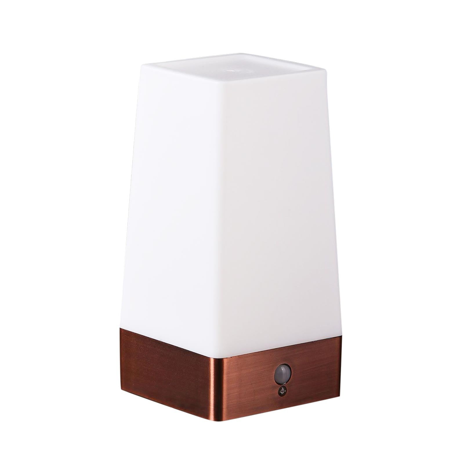 CAUYDY LED Table Night Lights, Desk Table Lamp Wireless PIR Motion ...