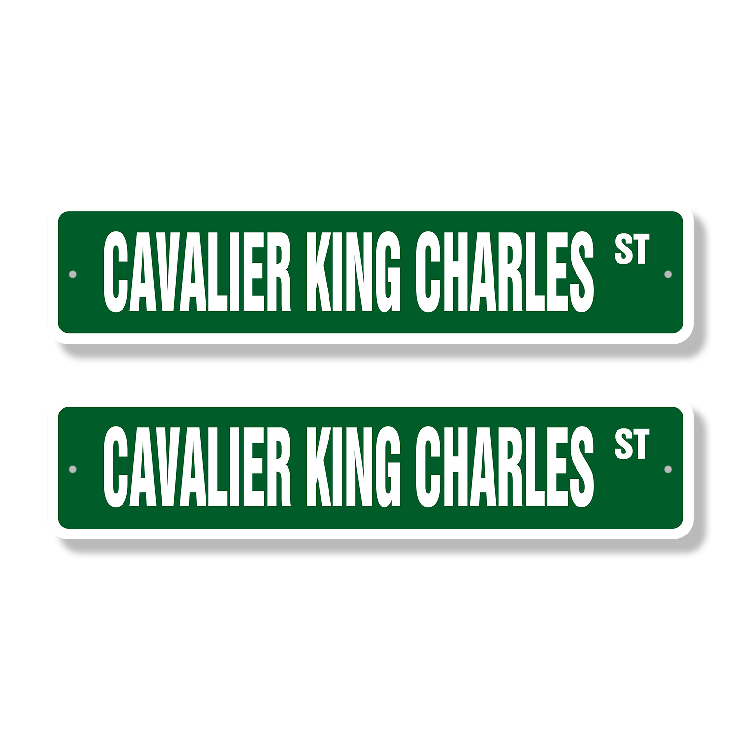 CAVALIER KING CHARLES Classic Street Sign (2 Pack) dog purebred pet ...