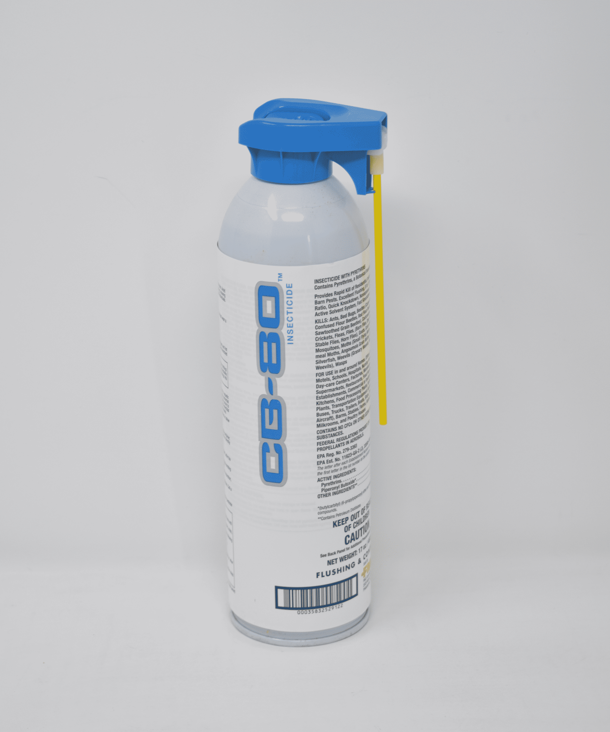 CB-80 Aerosol Insecticide - Indoor & Outdoor Bug & Pest Eliminator ...