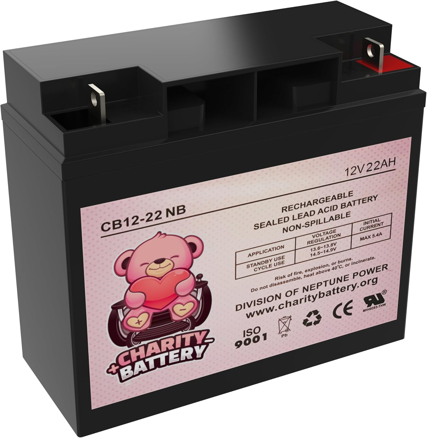 CB12-22 12V 22Ah Rechargeable SLA Battery Replacement for UB12180 FM12180 6fm18 - Walmart.com