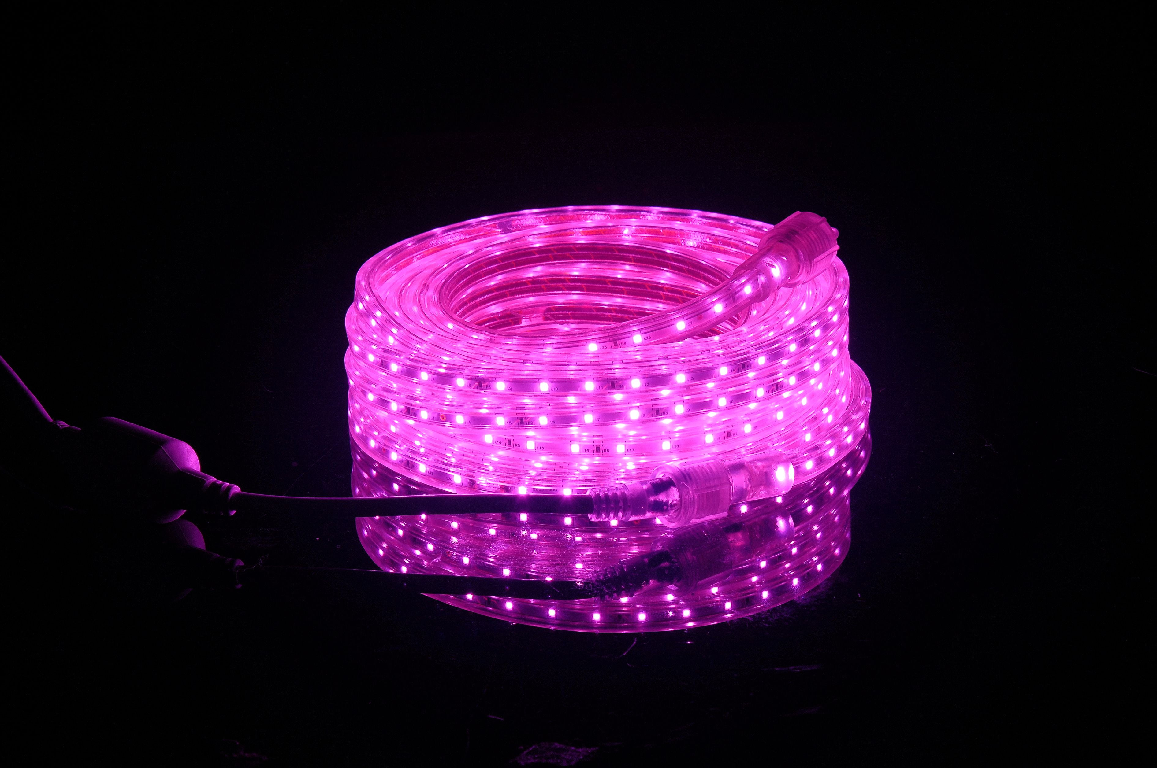 CBConcept UL Listed, 40 Feet, 4300 Lumen, Pink, Dimmable, 110-120V AC ...