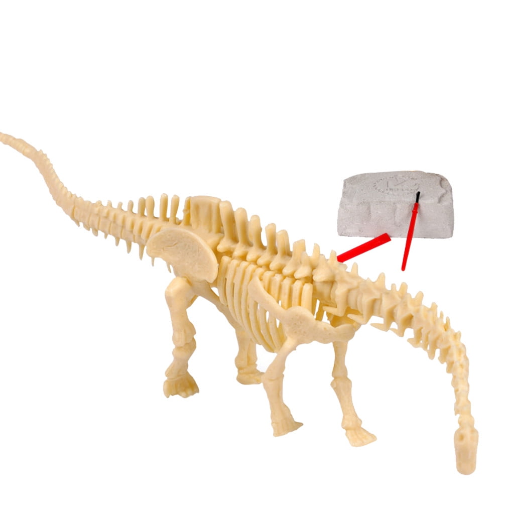 CBXZ Dinosaur Fossil Excavation Kit T-Rex Skeleton Model for Kids Fun ...