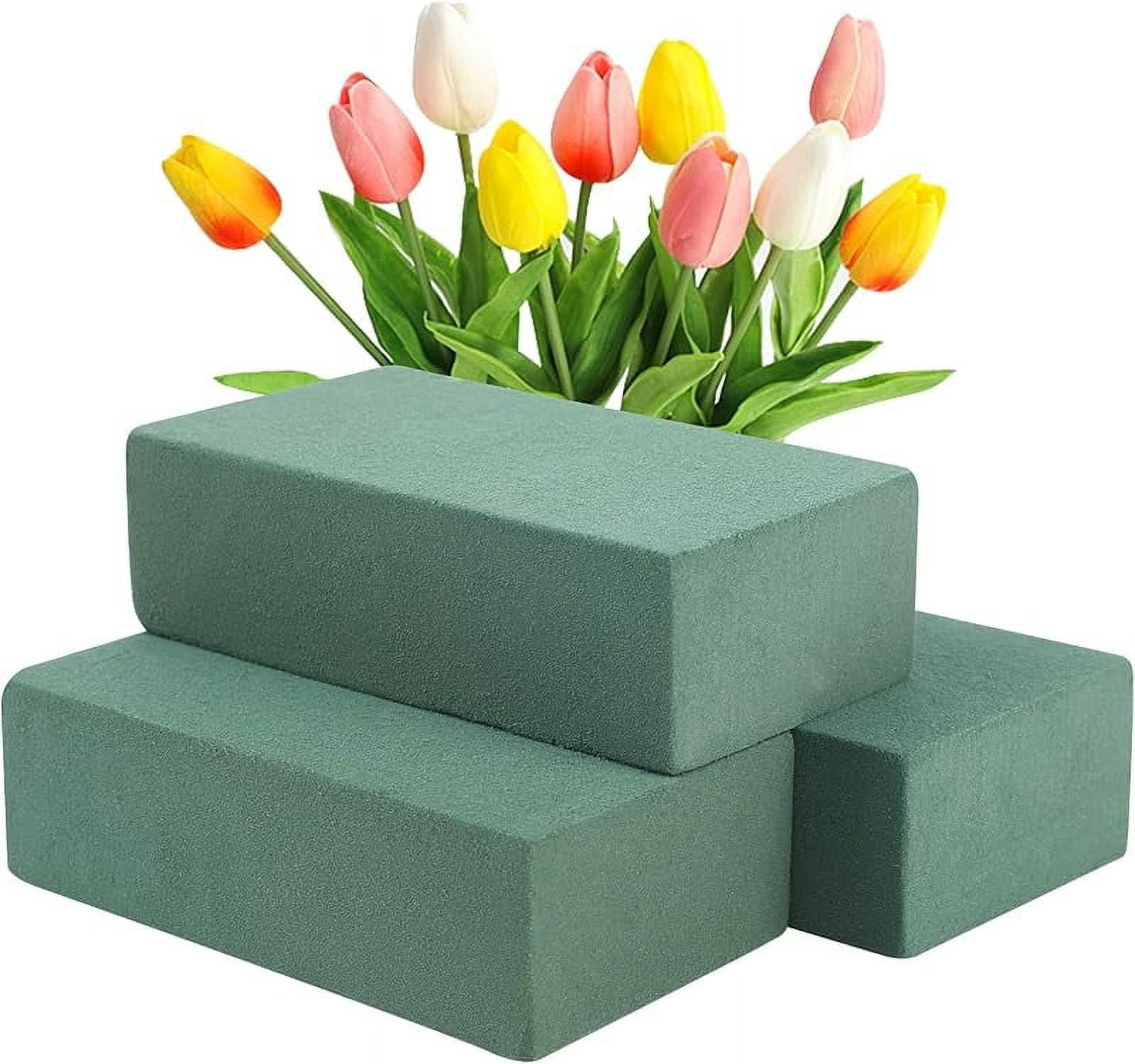 CCINEE Round Floral Foam,Wet Florist Foam Block Flower Arrangement ...