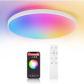 Bluetooth Ceiling Light