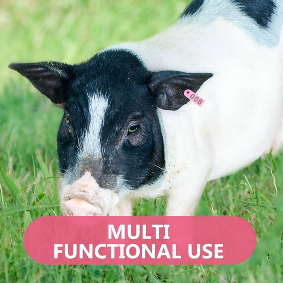 CCOCC 100PCS Numbered Ear Tags for Livestock Animal Identification Tags ...