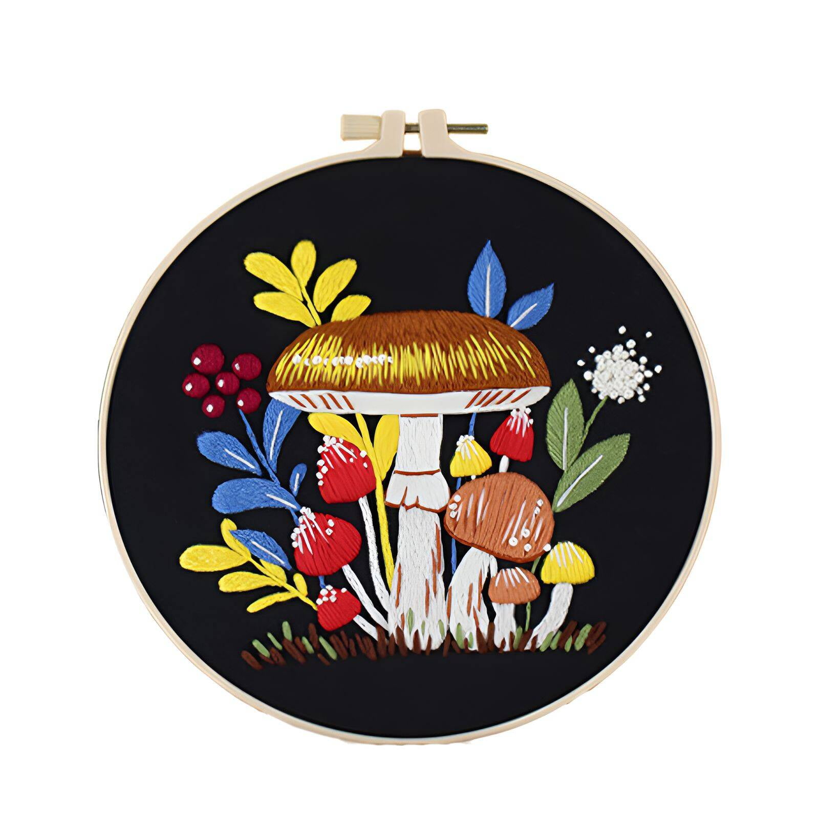 CCOCC 1Pcs Embroidery Kit,Rich Details Presentation Embroidery Kit for ...