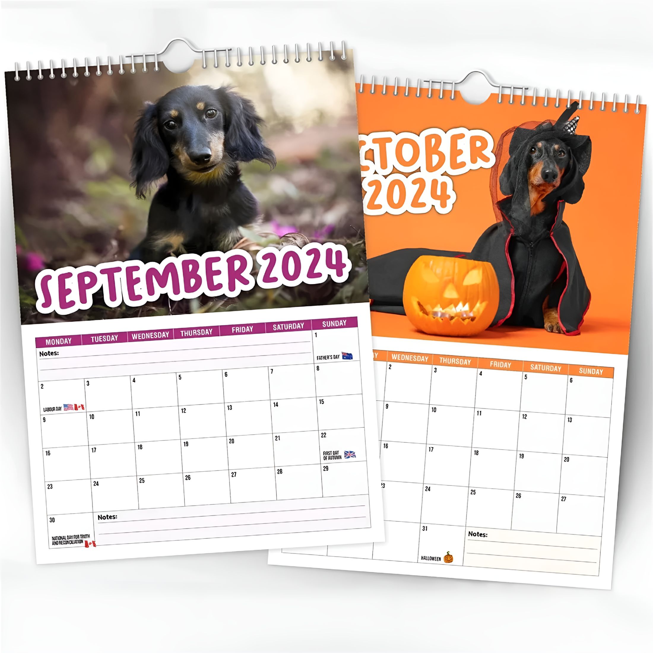 CCOCC 2024 Calendar,2024 Planner,2024 Wall Calendar,Cool Puppy Wall ...