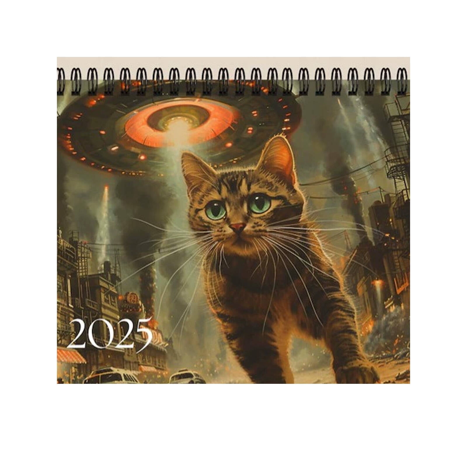 CCOCC 2026 New Cat Calendar Cat Calendar Small Business Essentials Cat ...