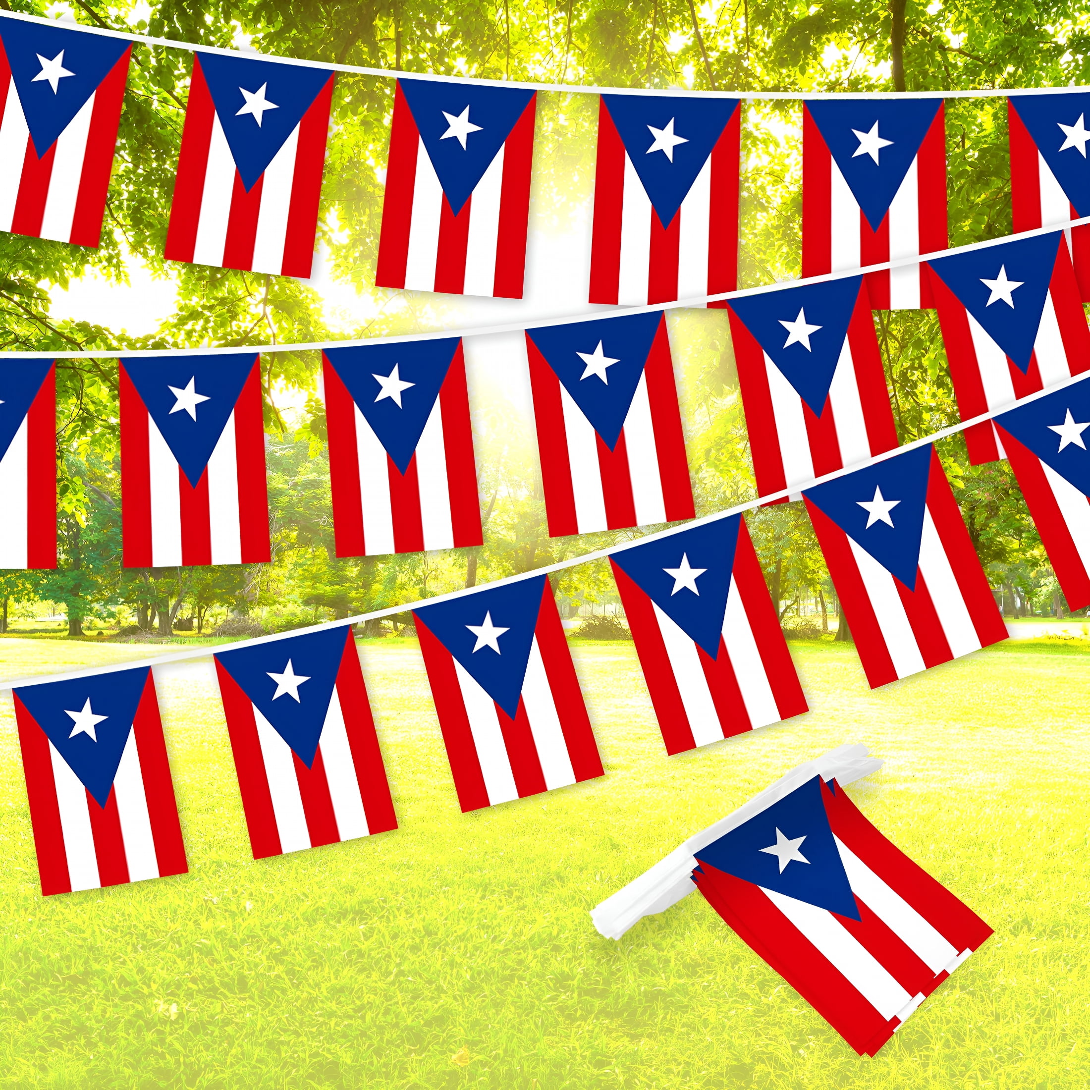 CCOCC 2026 New Puerto Rico Pr Bunting Banner | Flag 8.2 X 5.5 Inch,Full ...