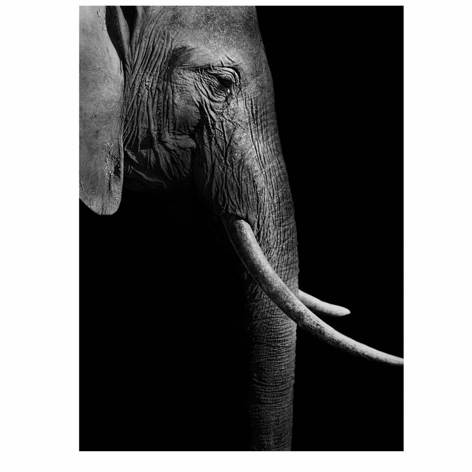 CCOCC 2026 New Wall Posters Full Color Design Wall Decor Easy to Use ...