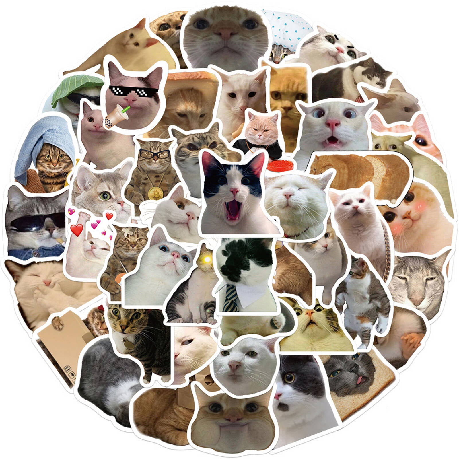 CCOCC 50 Pcs Cat Stickers,Reusable Sticker Funny Stickers,Fun Design ...