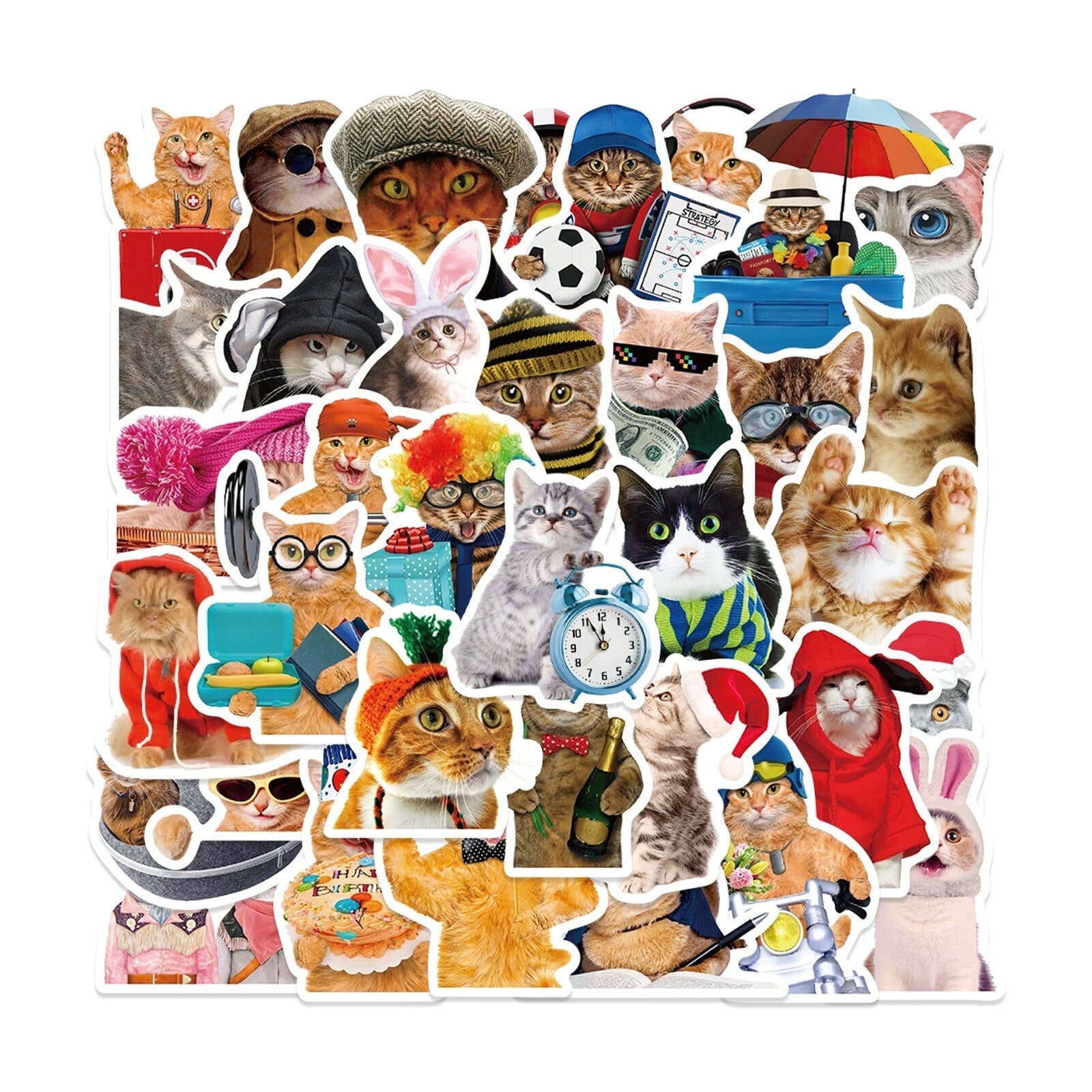 CCOCC 50 Pcs Cat Stickers,Waterproof Sticker Laptop Stickers,Reusable ...
