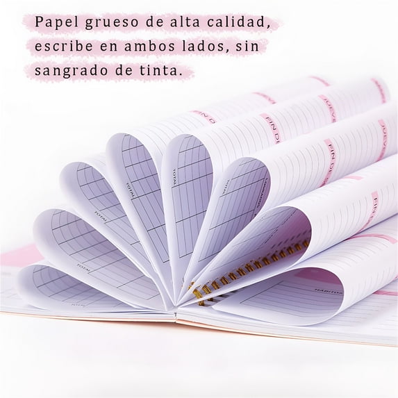 CCOCC 52 Week Planner 2025 Daily Self Discipline Punch Book Full Page ...