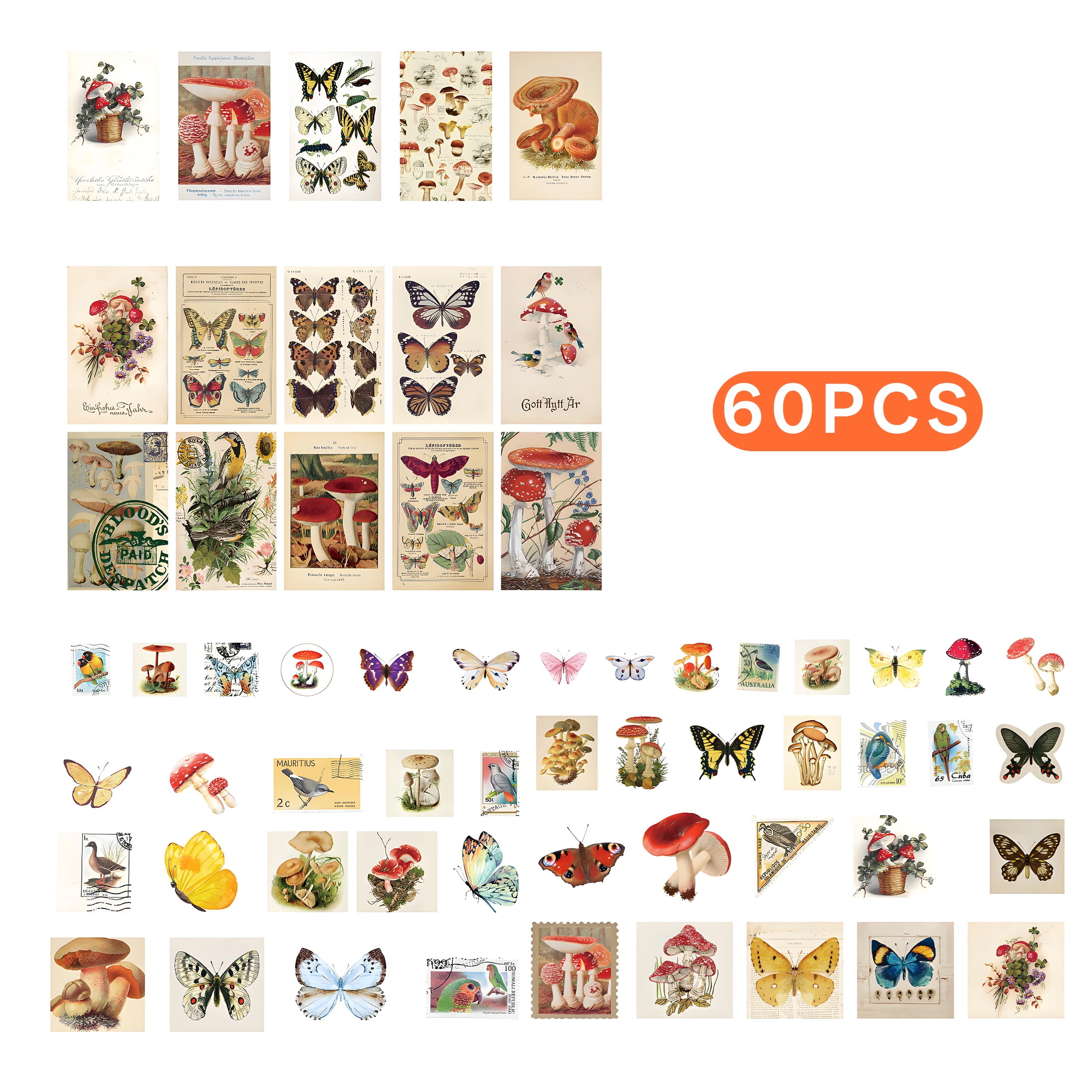 CCOCC 60Pcs Scrapbook Kit,Rich Design Variety Aesthetic Stickers ...