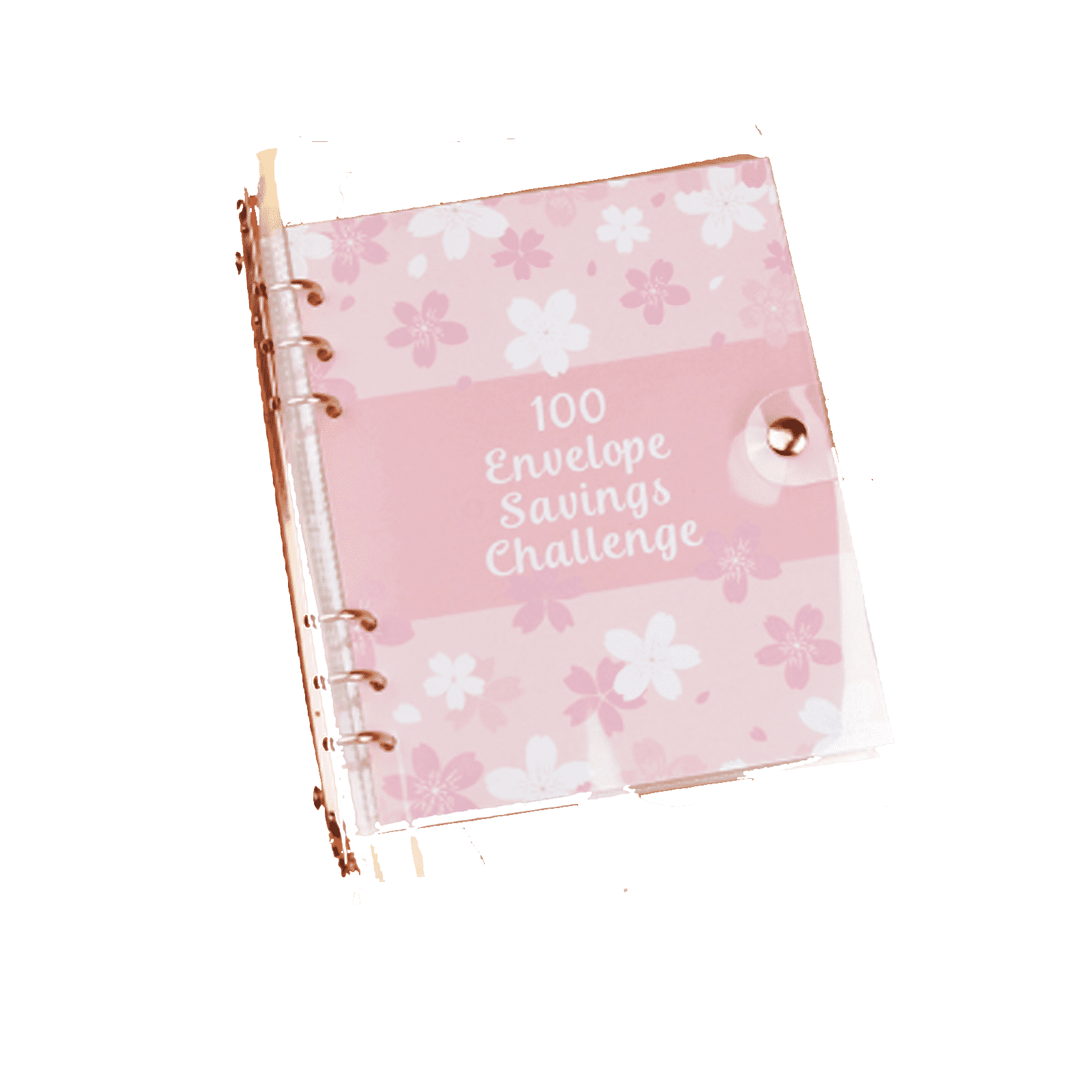 CCOCC Budget Planner Exquisite Cover Design Weekly Planner Suitable As ...