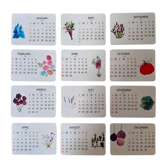 CCOCC Eco-Friendly Plantable Seed Calendar 2026, 12-Month Wildflower ...