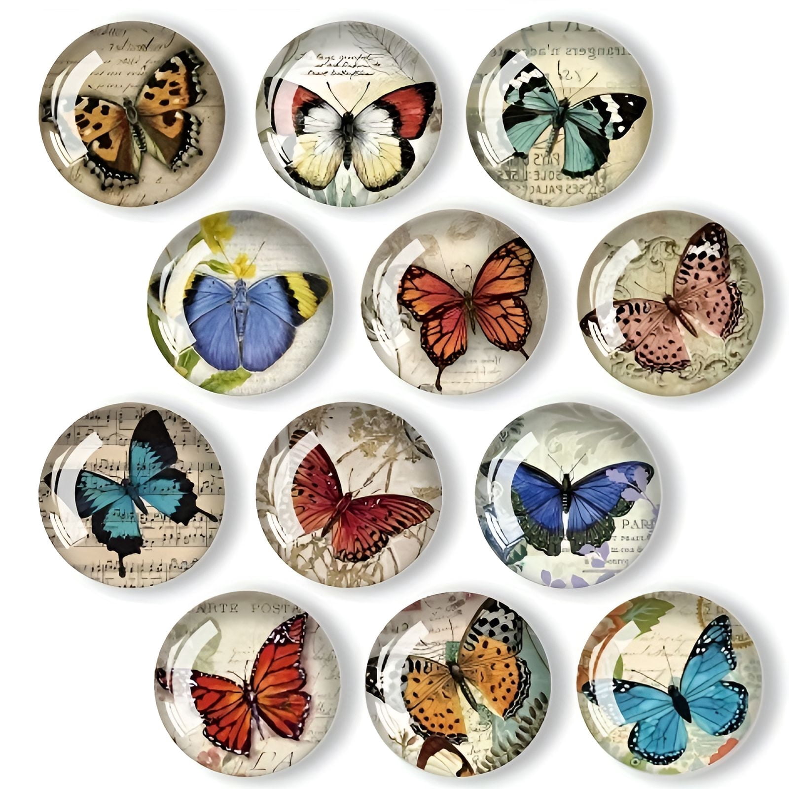 CCOCC 12Pcs Fridge Magnets,Cabinet Magnets,Butterfly Magnets for Fridge ...