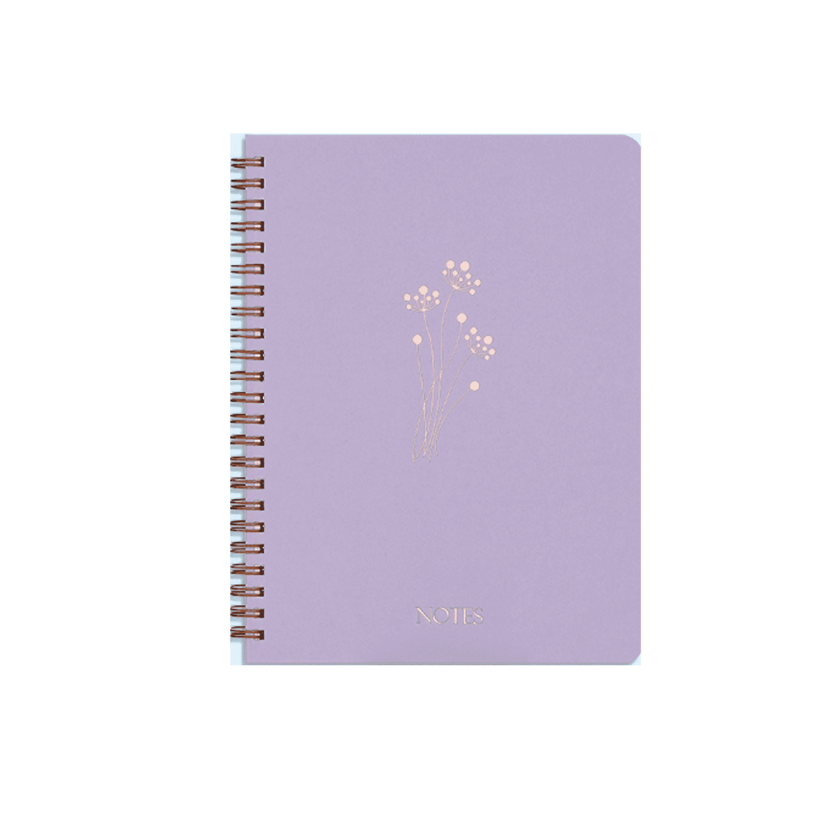CCOCC Note Pads Environmentally Friendly Materials Note Books No Take ...
