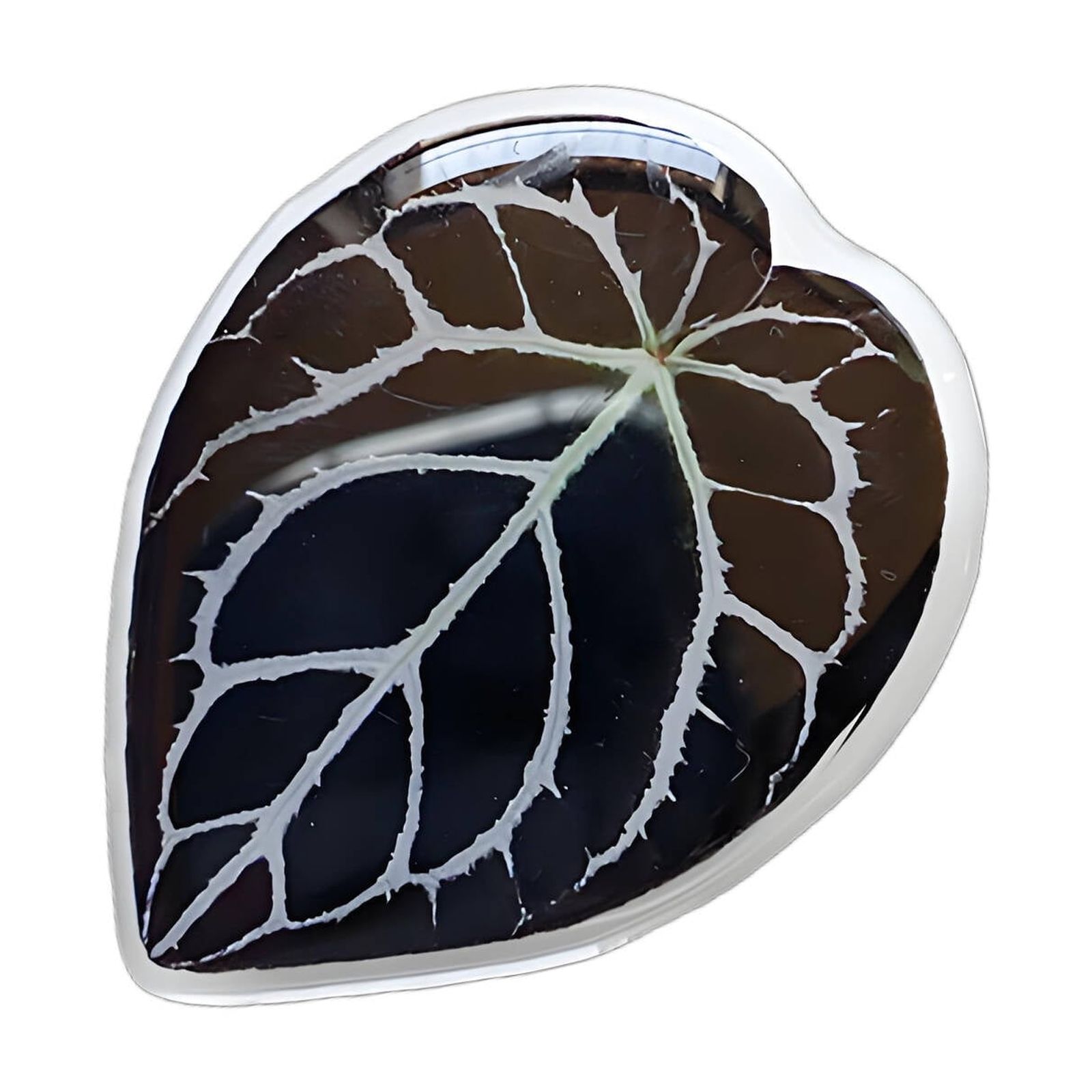 CCOCC PopSocket,Fresh Leaf Shape Pop Socket for iPhone,Adhesive-based ...