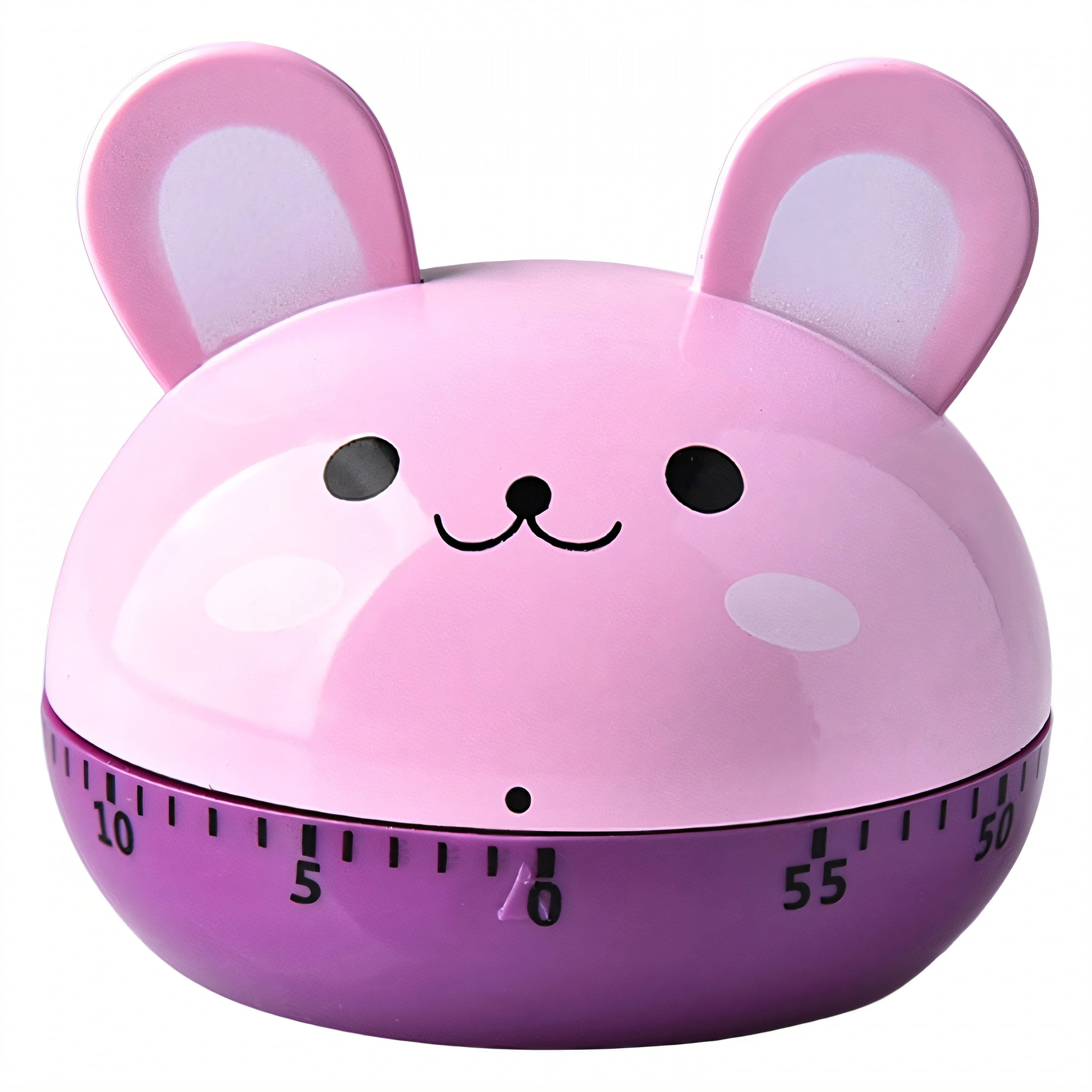 CCOCC Timer,60-Minute Timer Visual Timer,Cartoon Animal Shape Boost Learning Motivation Outdoor ...