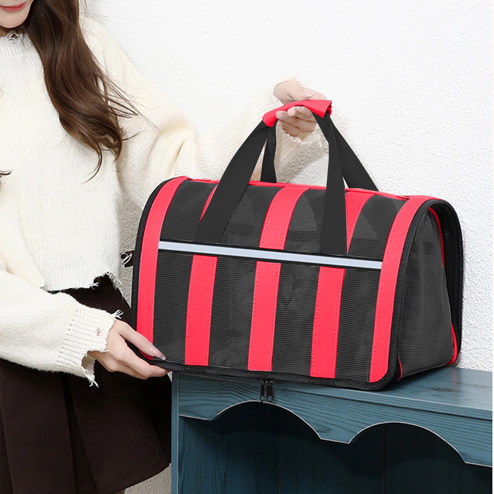 CCWADH Cat, Dog Carrier for Pets Up to 15 Lbs, Soft-Sided Cat Bag ...