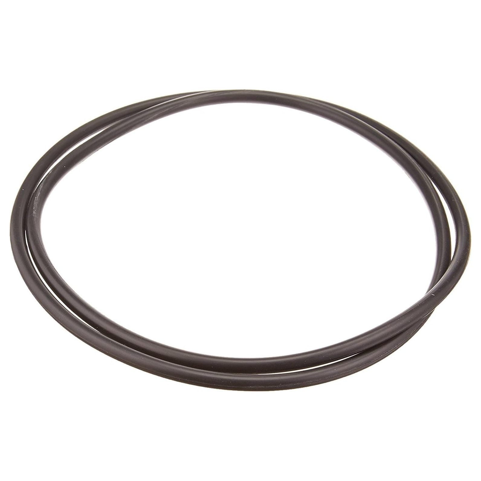 CCX1000G XStream Cartridge Filter Body Oring - Walmart.com