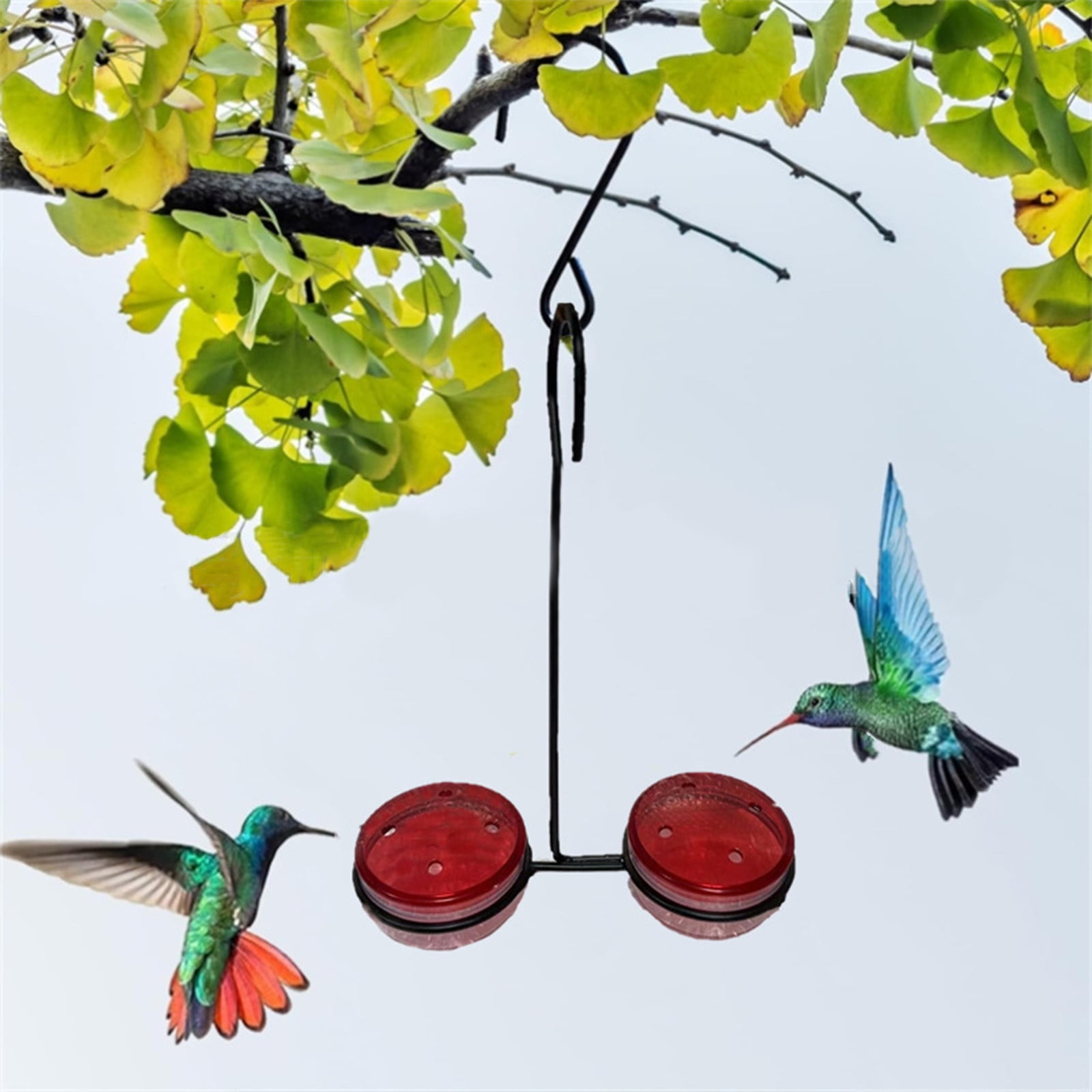 CCYDFDc Bird Feeder Hanging, Hanging Bird Feeder Tray, Acrylic ...