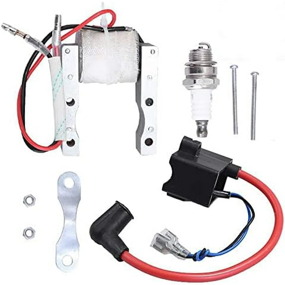CDI Ignition Coil + Magneto Coil + Spark Plug for 49cc-80cc 2-Stroke Engine Motorized Bicycle ...