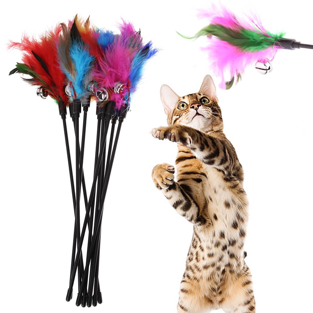 CDJLY Cat Feather Toys Interactive Cats, 10PCS Replacement Feather with ...